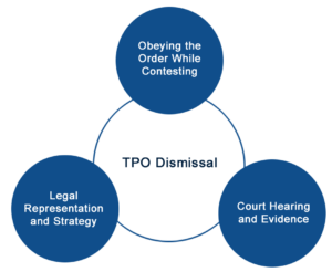 Temporary Protective Orders in Georgia: How to Get One Approved or ...